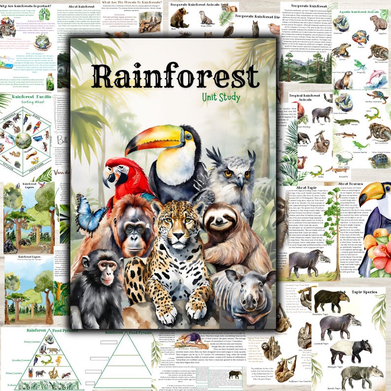 Biomes Unit Study, Land Biome, Geography Unit , Geography Homeschool ...