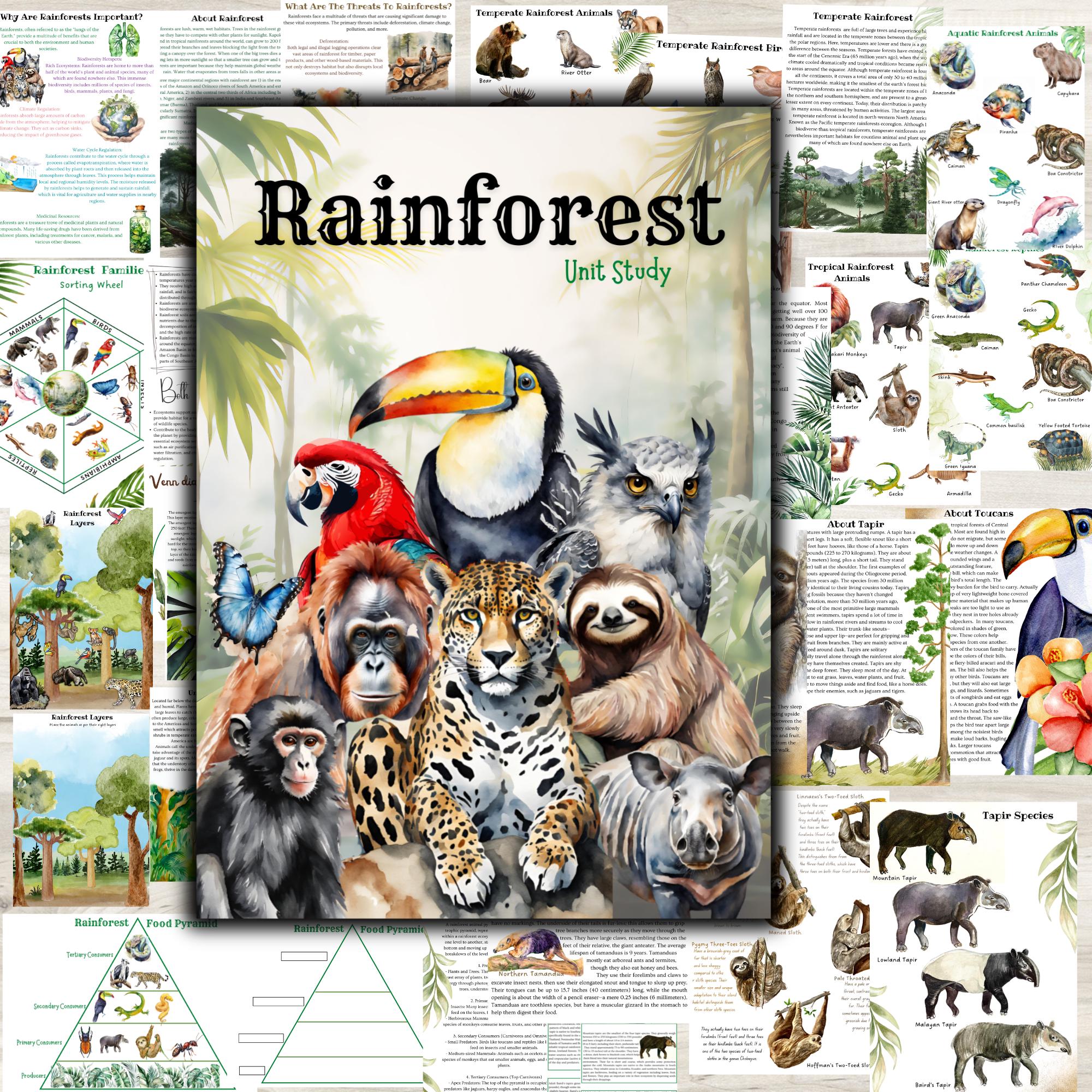 Biomes Unit Study, Land Biome, Geography Unit , Geography Homeschool ...