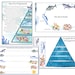 Fish Unit Study, Fish Printable Puzzle, Fish Activities, Shark Unit ...