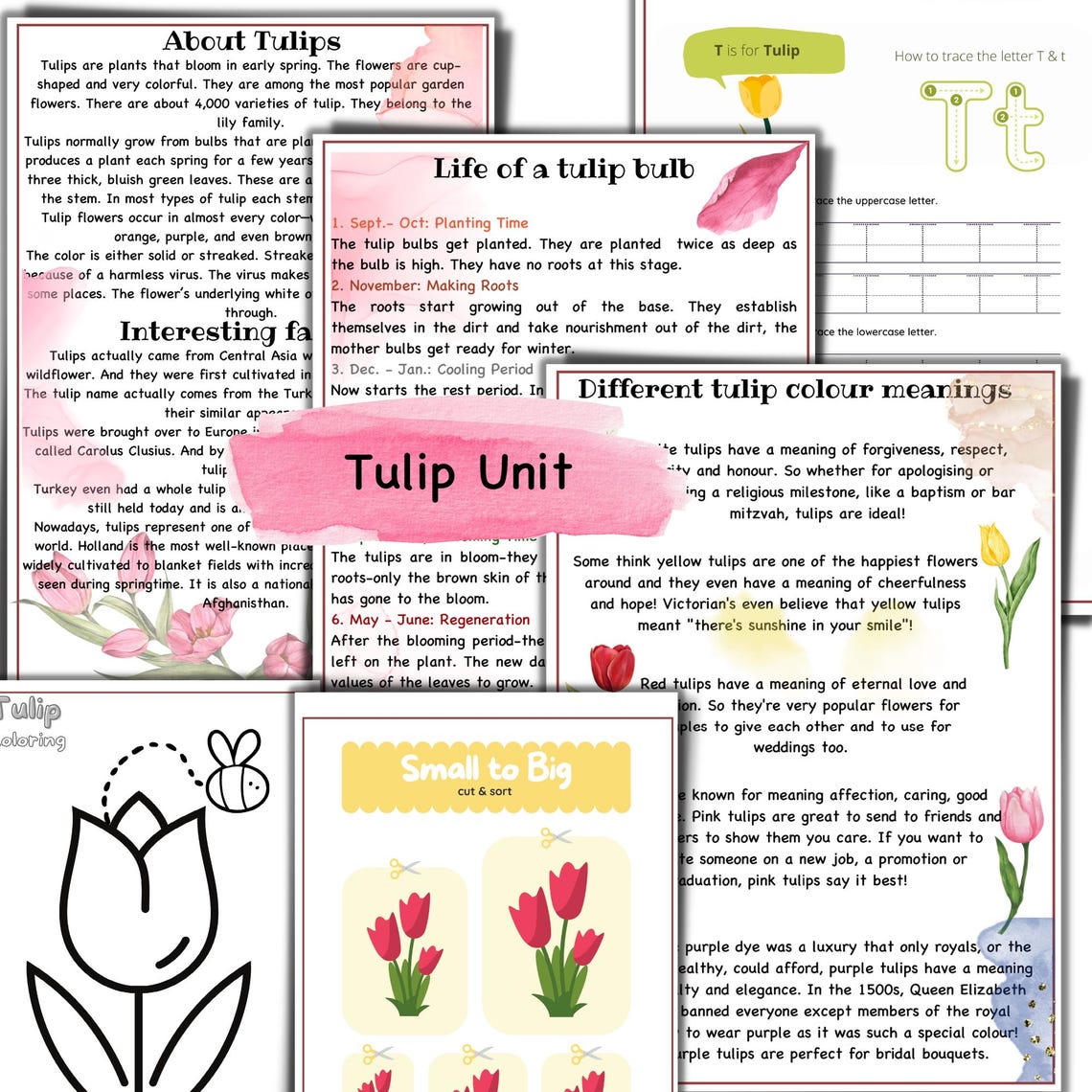 Flowers Unit Study,parts of Flower, Sunflower Life Cycle, Spring Unit ...