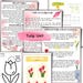 Flowers Unit Study,parts of Flower, Sunflower Life Cycle, Spring Unit ...