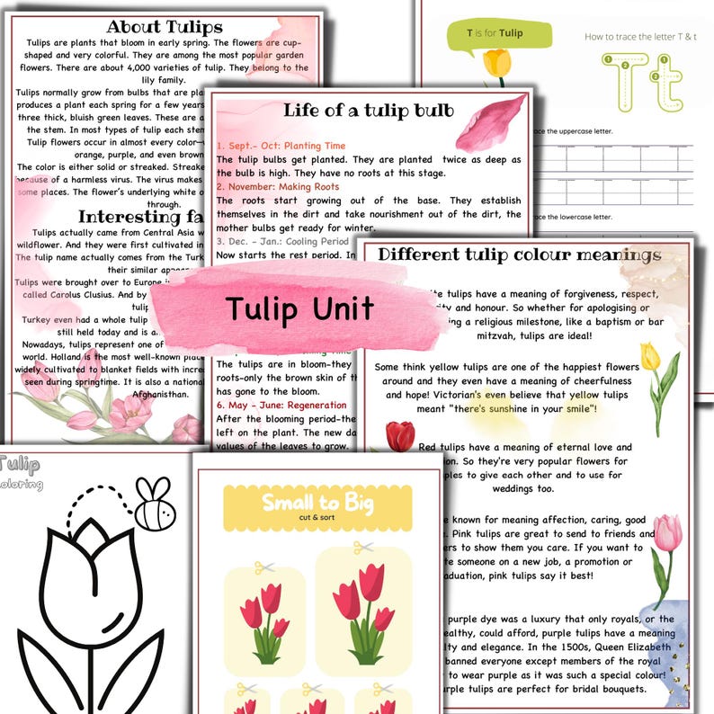 Flowers Unit Study,parts of Flower, Sunflower Life Cycle, Spring Unit ...