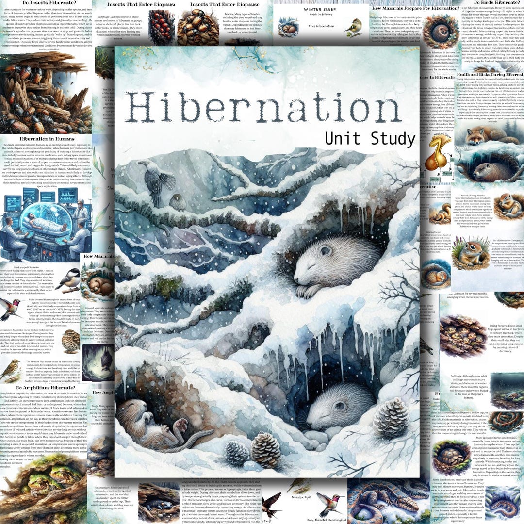 Hibernation Unit Study, Winter Sleep Unit Study, Winter Unit, Winter ...