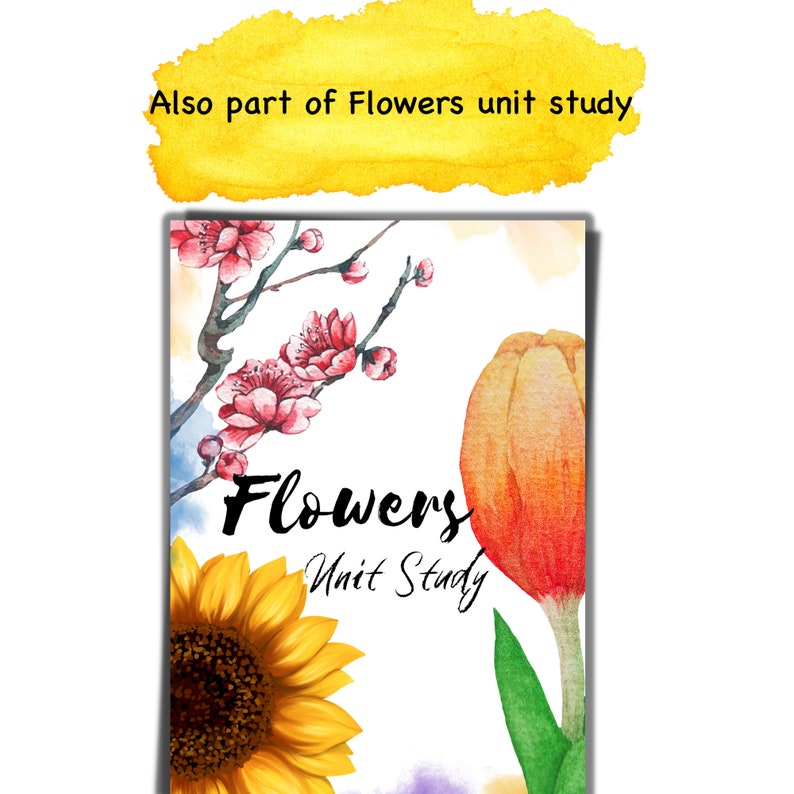 Flower Anatomy Printable, Parts of a Flower, 3 Part Cards Flower ...