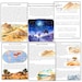 Desert Unit Study, Camel Unit Study, Desert Activities, Biome Unit ...