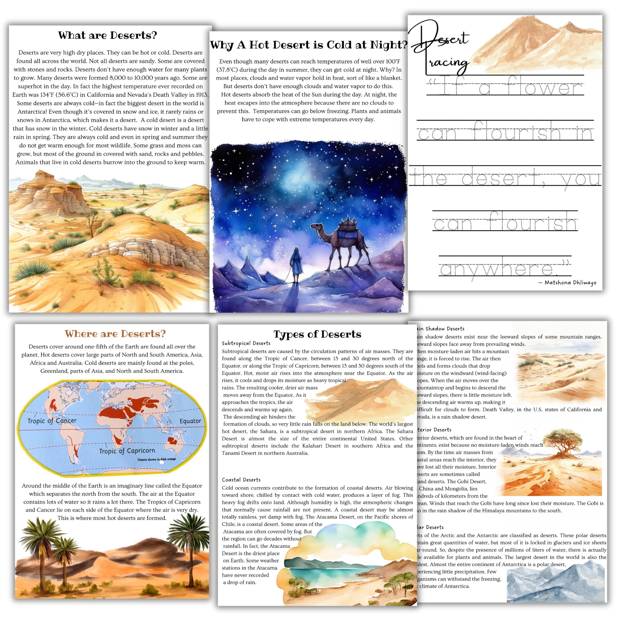 Desert Unit Study, Camel Unit Study, Desert Activities, Biome Unit ...