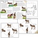 Horse Unit Study, Horse 3 Part Cards, Horse Activities, Horse Homeschool, Horse Anatomy, Horse ...