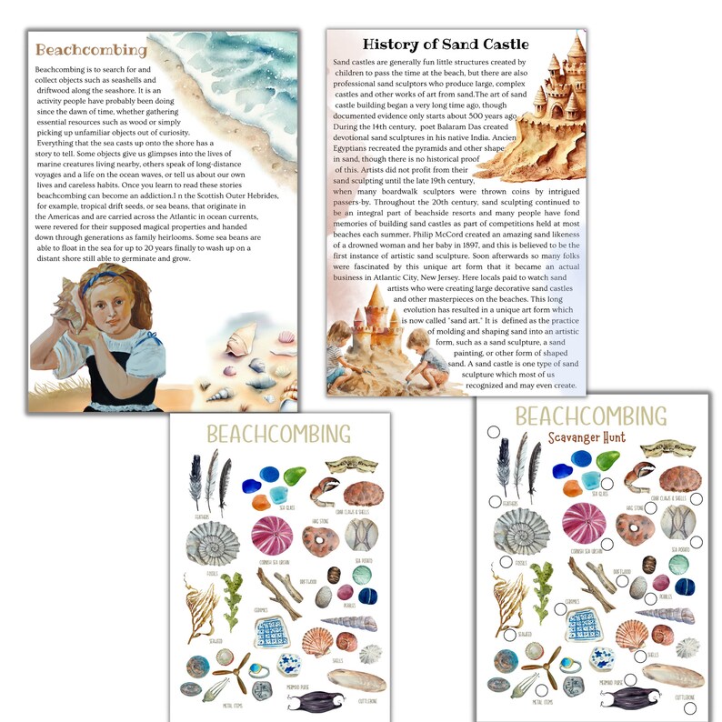 Beach Unit Study Crab Unit Study Seashore Animals Lobster - Etsy