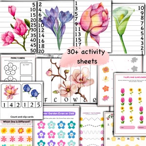 Flowers Unit Study,parts of Flower, Sunflower Life Cycle, Spring Unit ...