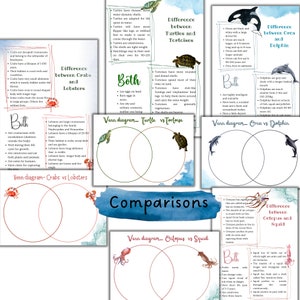 Ocean Unit Study, Ocean Layers, Ocean Animals Study, Ocean Families ...