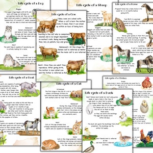 Farm Unit Study, Chicken Unit Study, Farm Animals Activities, Pea Plant ...