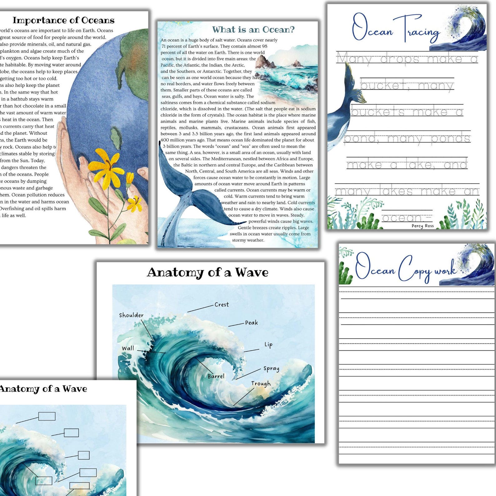Ocean Unit Study, Ocean Layers, Ocean Animals Study, Ocean Families ...