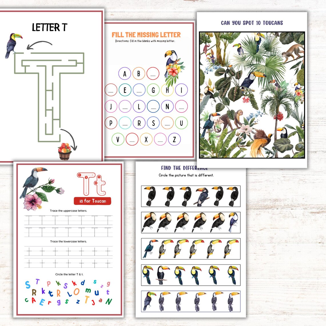 Toucan Unit Study, Toucan Anatomy, Rainforest Animals Unit, Toucan ...