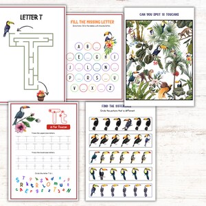 Toucan Unit Study, Toucan Anatomy, Rainforest Animals Unit, Toucan ...