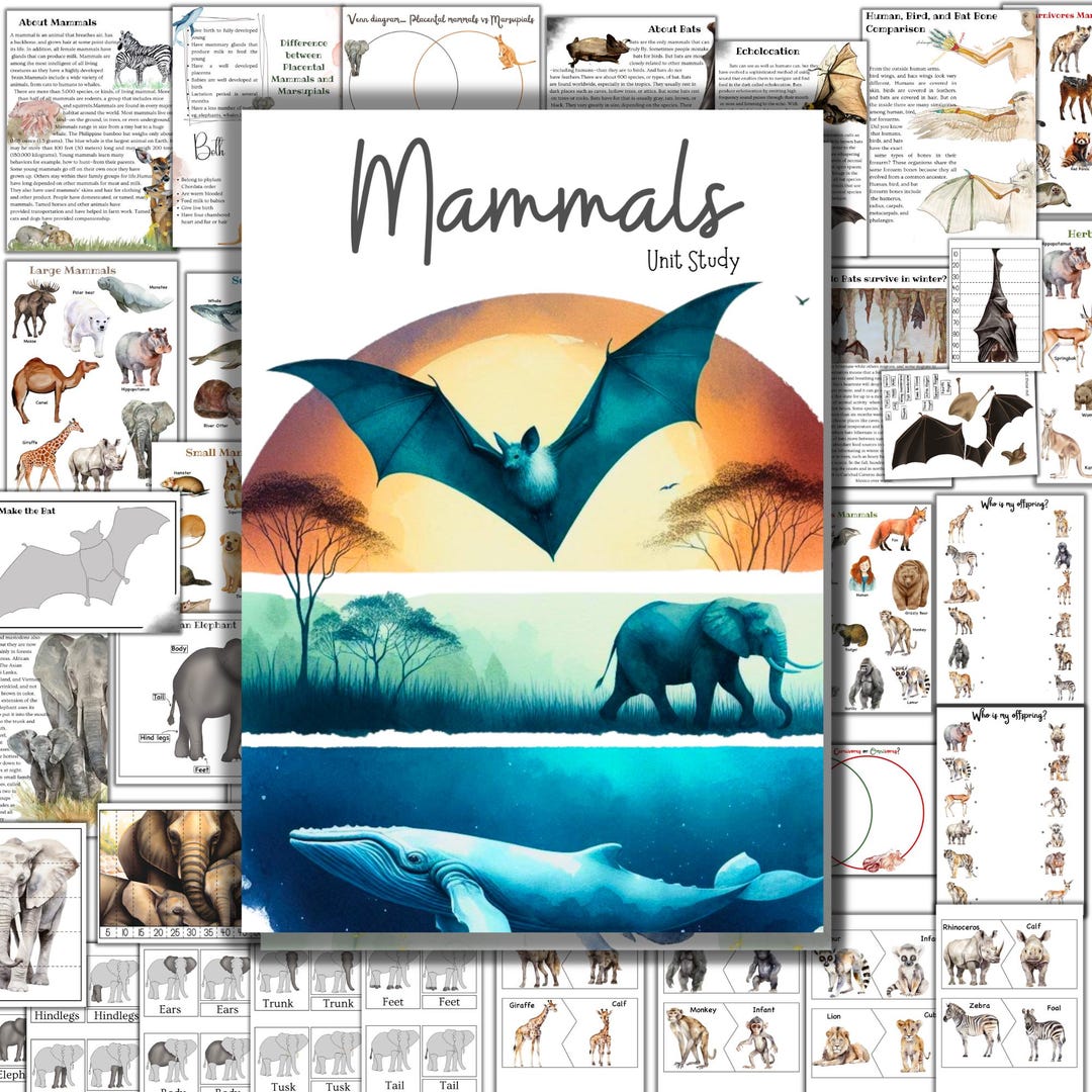 Mammals Unit Study, Elephant Unit Study, Bat Unit Study, Whale Unit ...