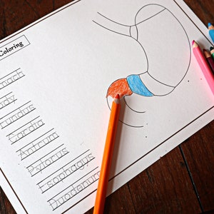 Human Stomach Anatomy Printable Activity, Stomach Nomenclature Cards ...