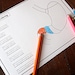 Human Stomach Anatomy Printable Activity, Stomach Nomenclature Cards ...