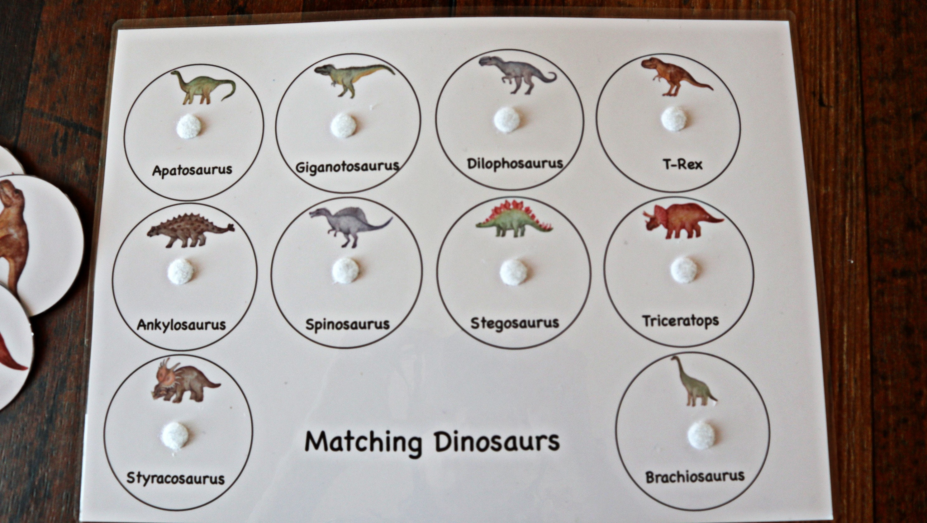 Dinosaurs Matching Printable, Dinosaurs Unit Study, Names of Dinosaurs ...