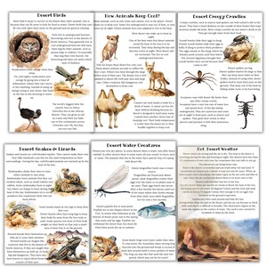 Desert Unit Study, Camel Unit Study, Desert Activities, Biome Unit ...