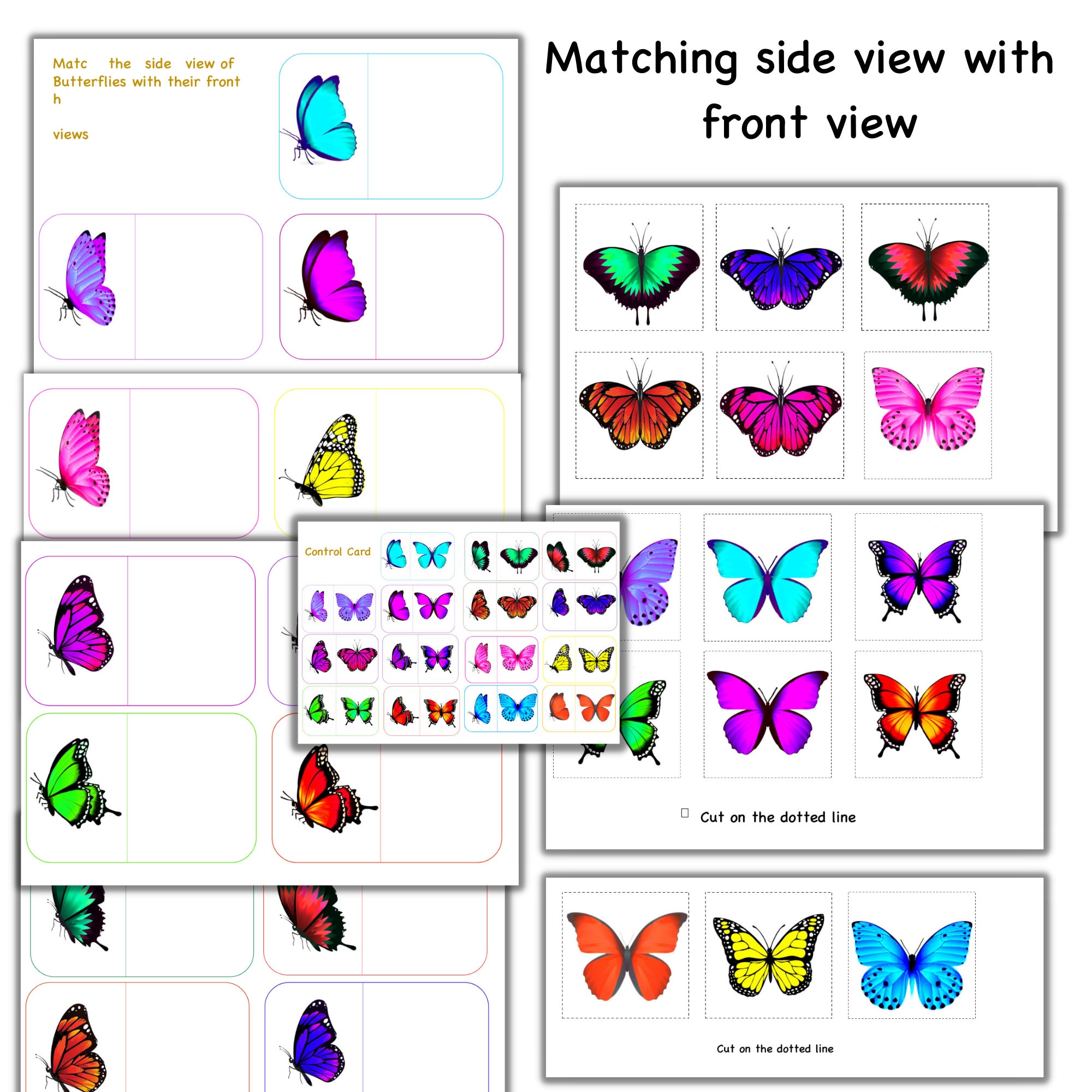 Butterfly Unit Study, Butterfly Printable Puzzle, Butterfly 3 Part ...