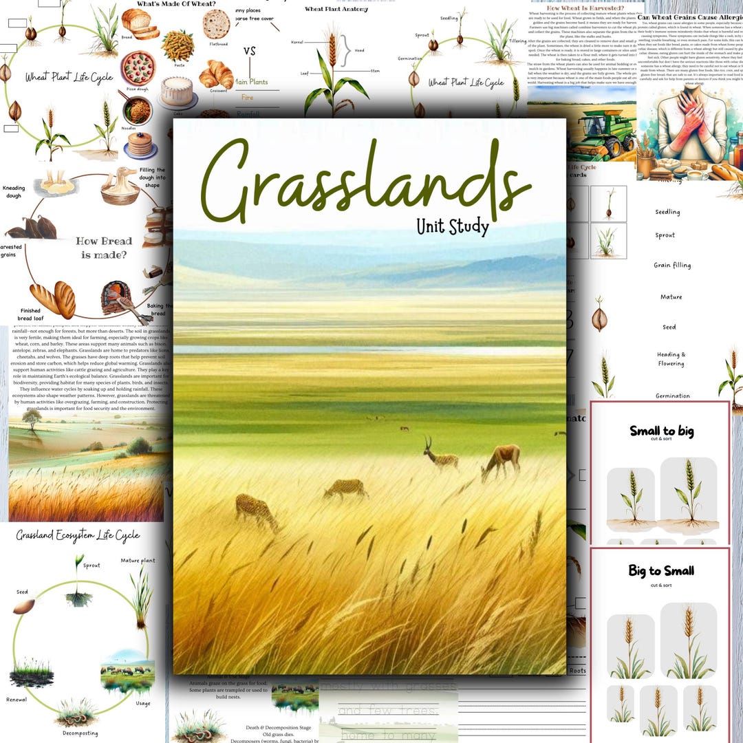 Grasslands Unit Study, Biome Unit Study, Wheat Unit Study, Grass Life ...