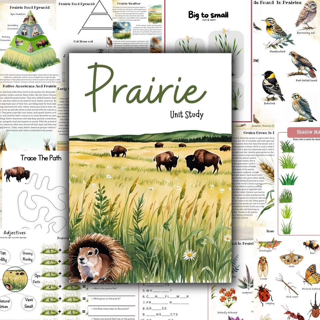 Prairie Unit Study, Biome Unit Study, Prairie Food Pyramid, Prairie ...