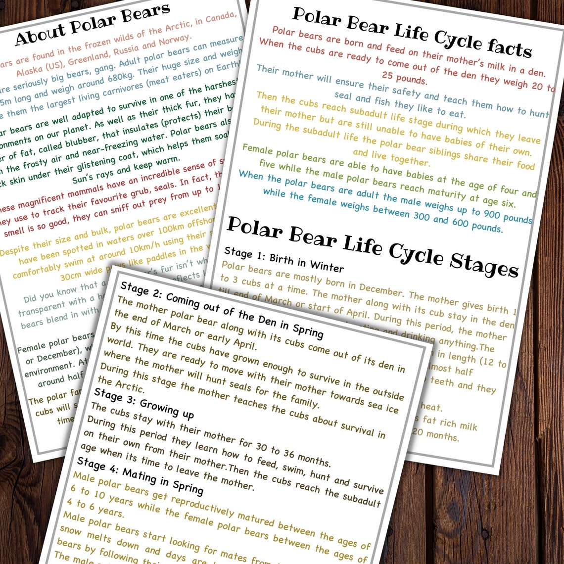 Polar Bear Mini Unit Printable, Polar Bear Anatomy, Polar Bear ...