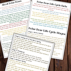 Polar Bear Mini Unit Printable, Polar Bear Anatomy, Polar Bear ...