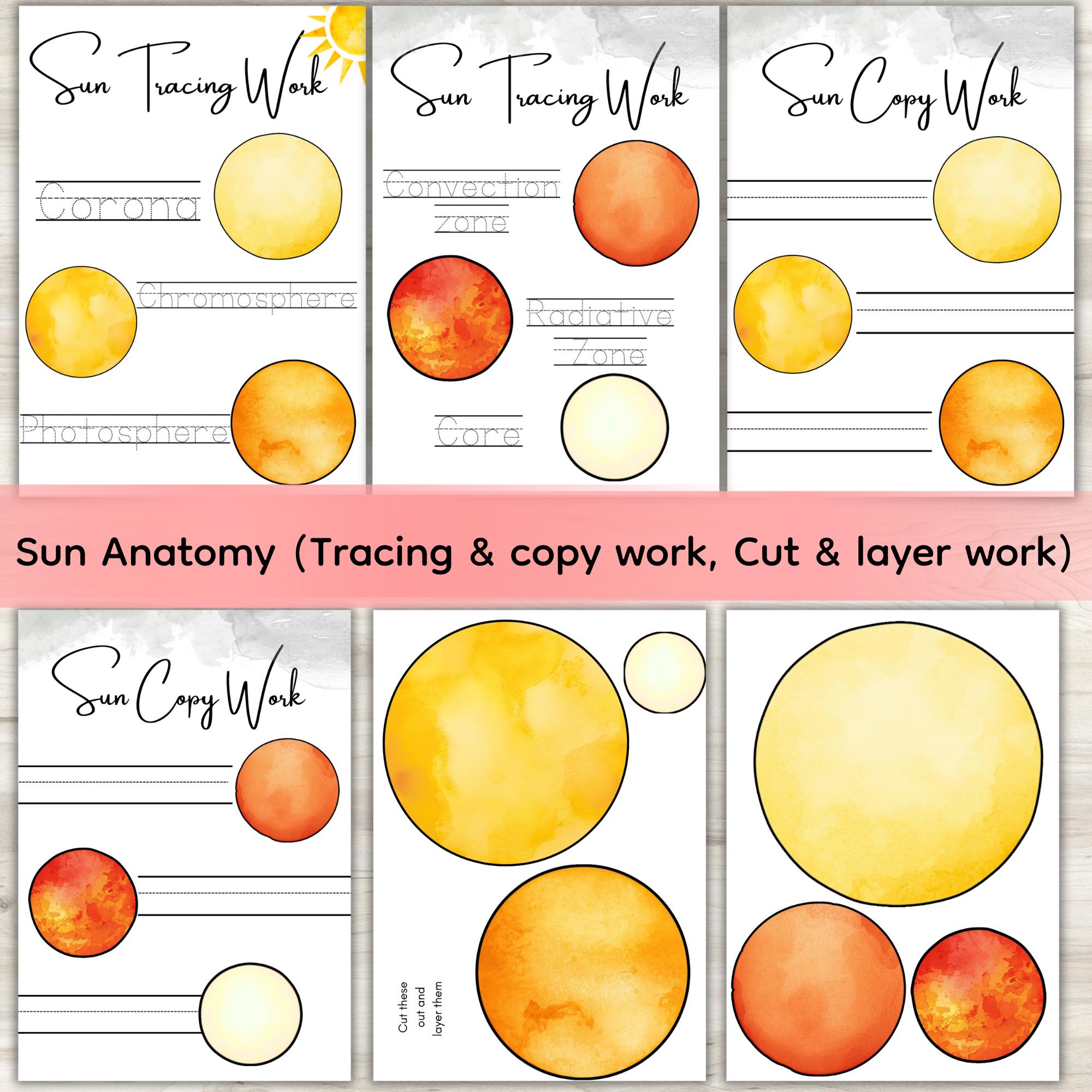SUN UNIT STUDY, Sun Anatomy, Sun Printables, Sun Worksheets, Sun Layers ...