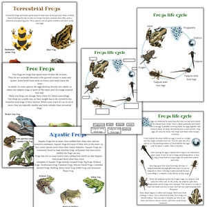 Frog Unit Study, Frog 3 Part Cards, Frog Printable Puzzle, Amphibian ...