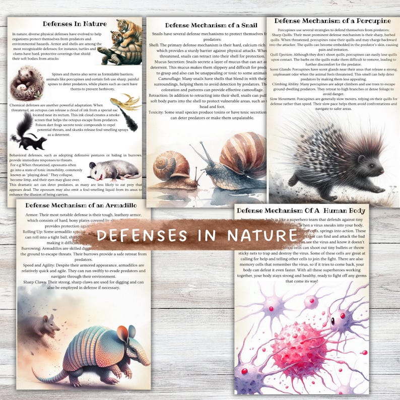 Nature in Attack Unit Study, Predators Unit, Lion Unit, Shark Unit ...