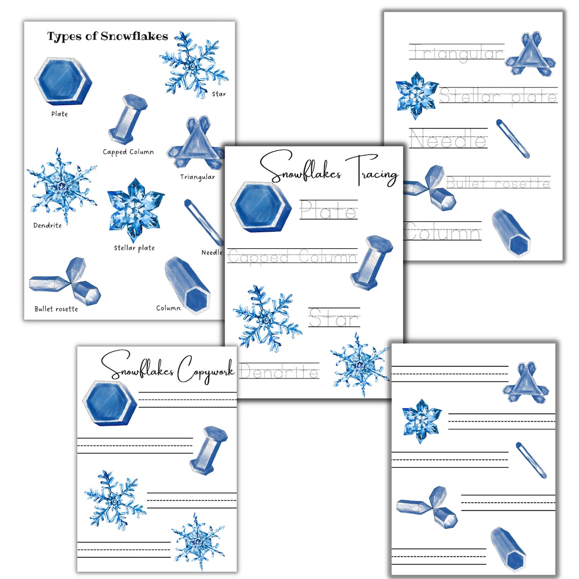 Snow Unit Study, Winter Printable Activity, Snowflake Anatomy ...