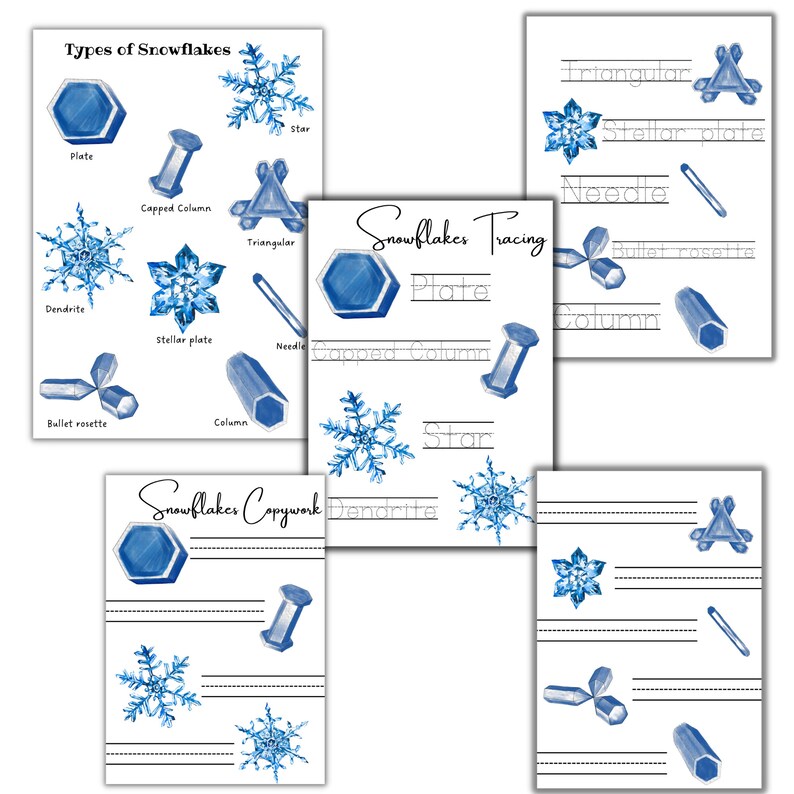 Snow Unit Study, Winter Printable Activity, Snowflake Anatomy ...