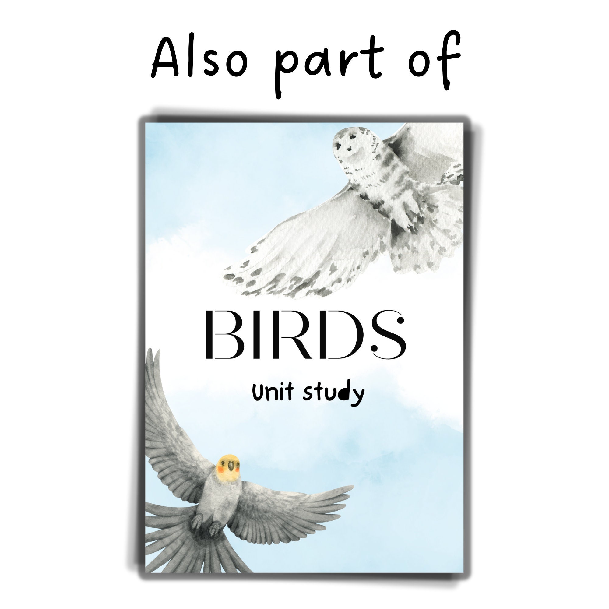 Owl Mini Unit Study, Bird Activities, Nature Study - Etsy