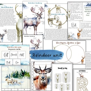 Polar Regions Unit Study, Arctic Unit Study, Antarctica Unit Study ...