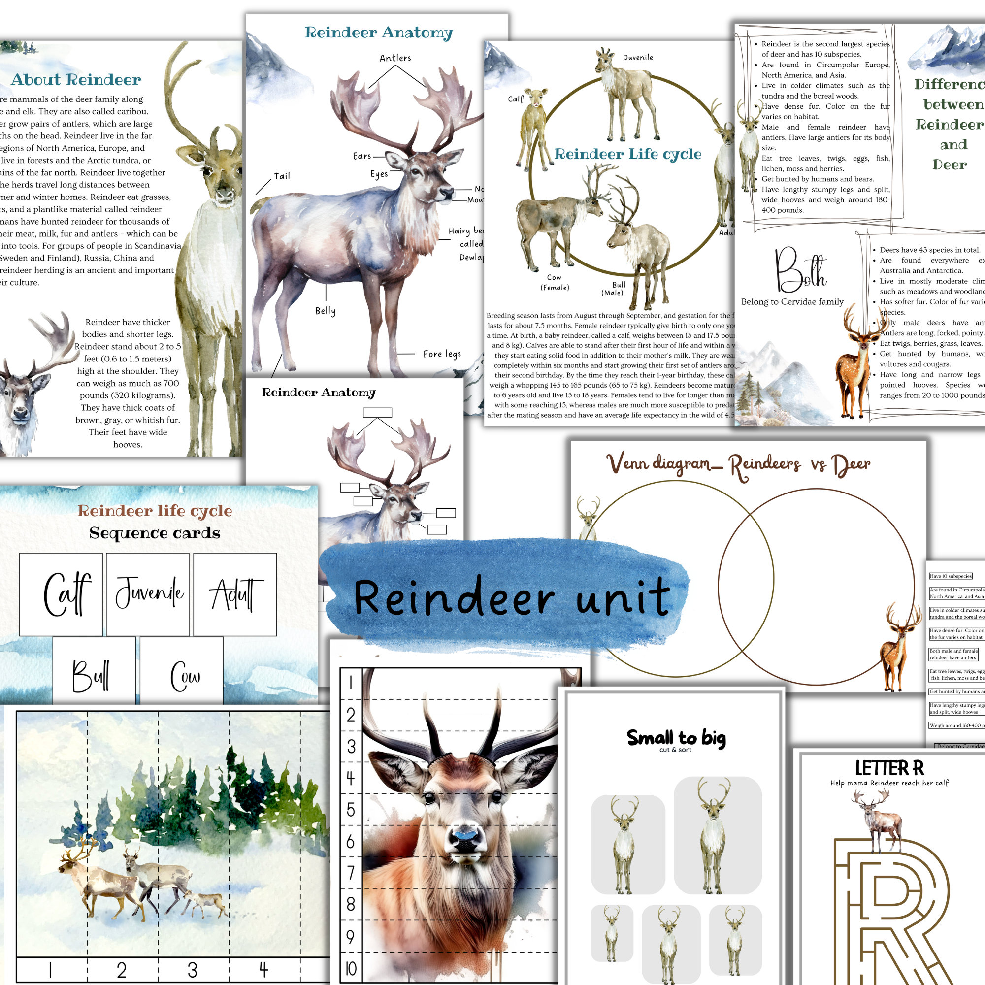 Polar Regions Unit Study, Arctic Unit Study, Antarctica Unit Study ...