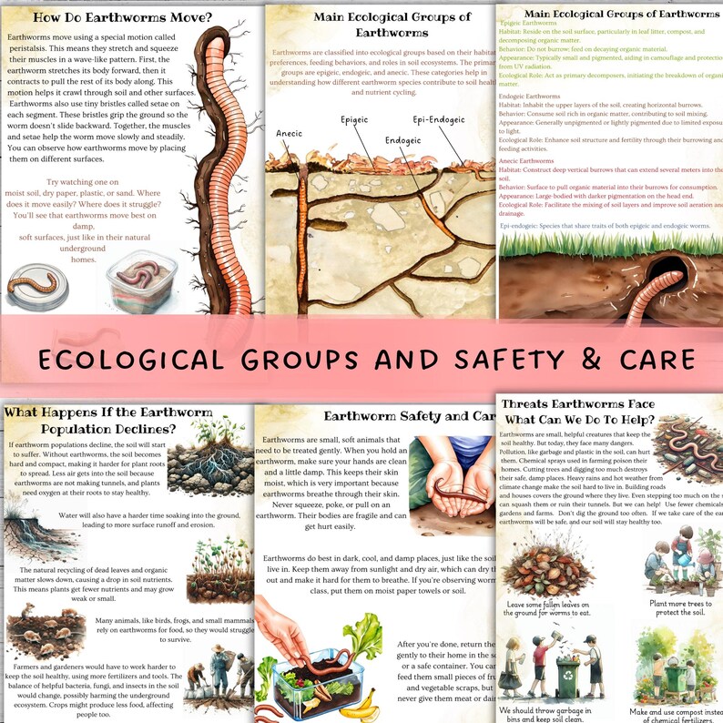 Earthworm Unit Study, Decomposer Unit Study, Nature Study, Homeschool ...