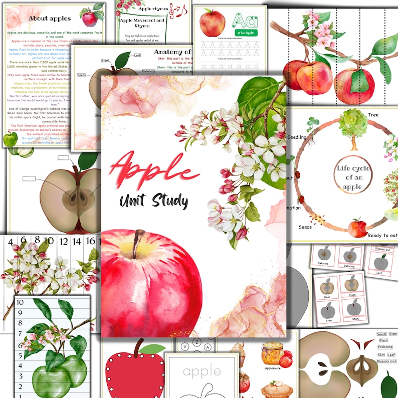 Apple Unit Study, Apple Anatomy, Parts of an Apple, Apple Printable ...