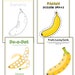 Banana Unit Study, Banana Life Cycle , Parts of Banana Plant, Banana ...