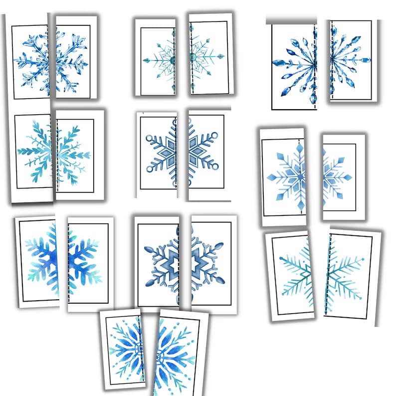 Snow Unit Study, Winter Printable Activity, Snowflake Anatomy ...