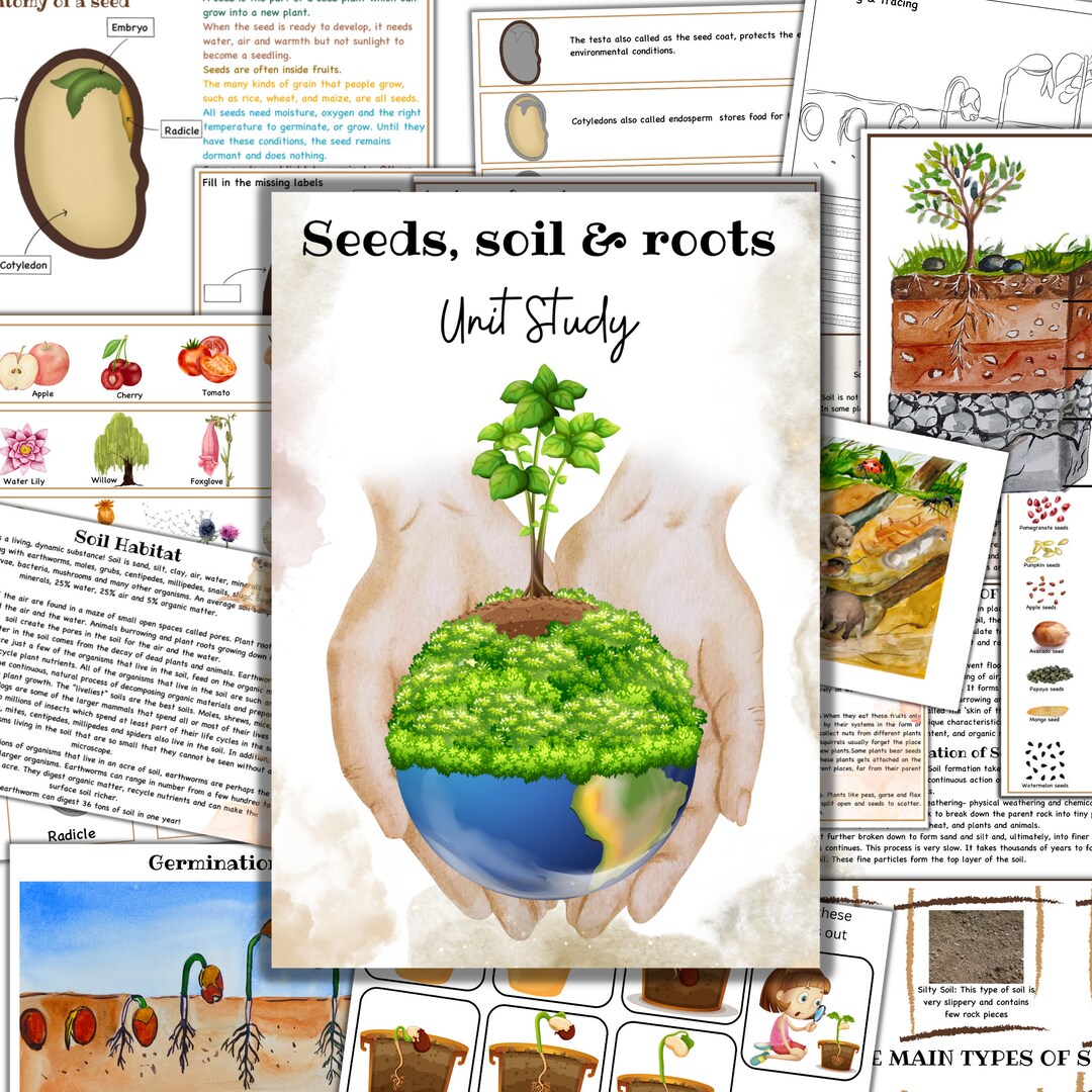 Garden Unit Study, Roots Anatomy, Seed Anatomy, Soil Layers, Roots ...