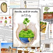 Life Cycle of a Bean Plant Foldable Kids' Craft Science Activity A4 and ...