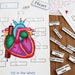 Human Heart Anatomy Printable Activity, Heart Puzzle, Heart ...