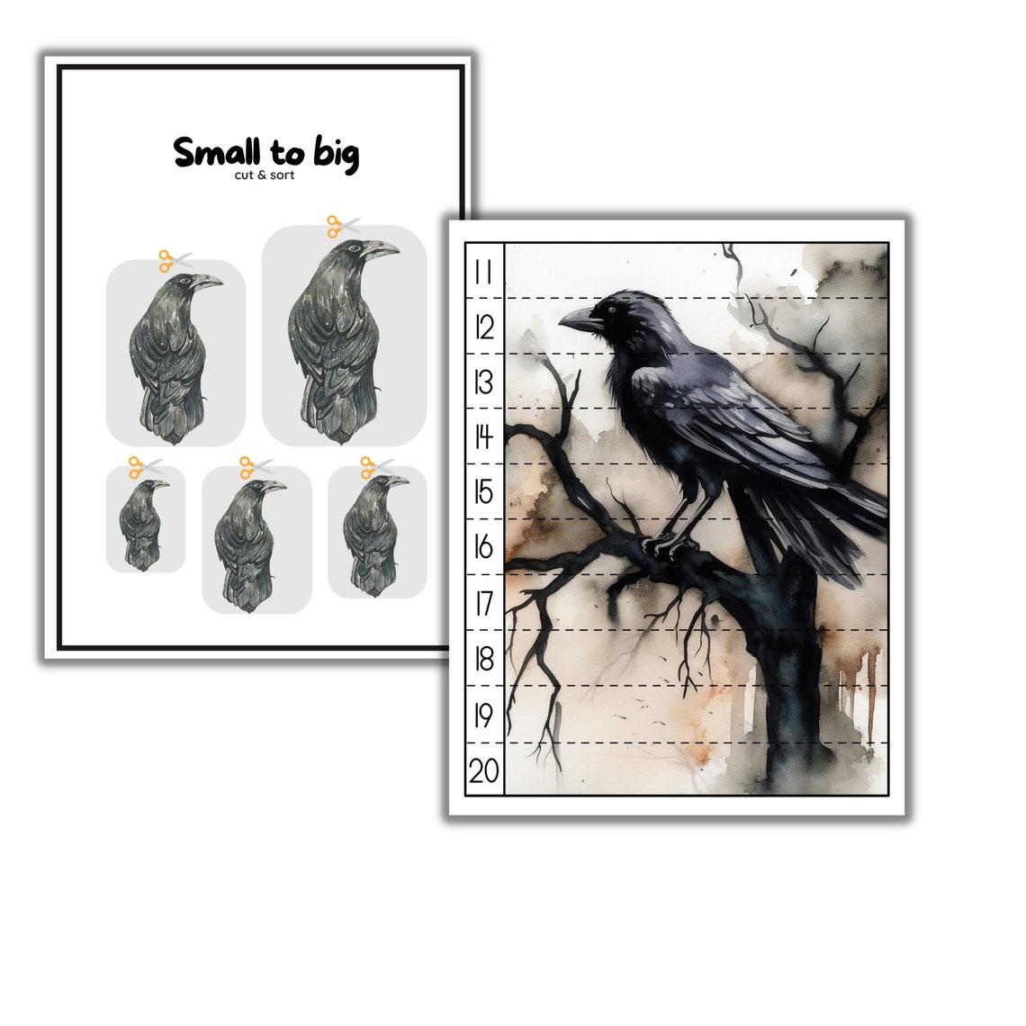 Raven Unit Study, Raven Anatomy, Halloween Printable Activity, Home ...