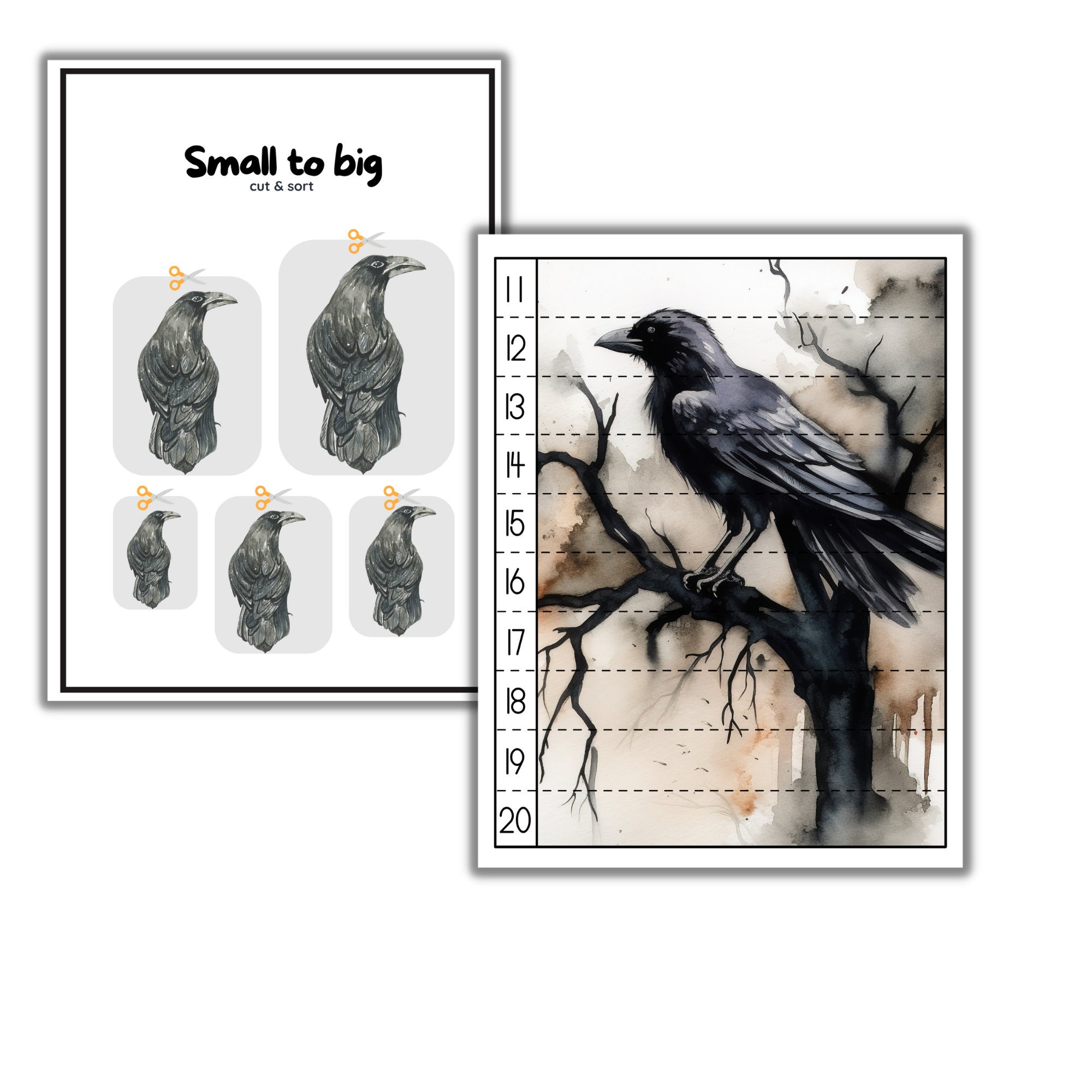 Raven Unit Study, Raven Anatomy, Halloween Printable Activity, Home ...