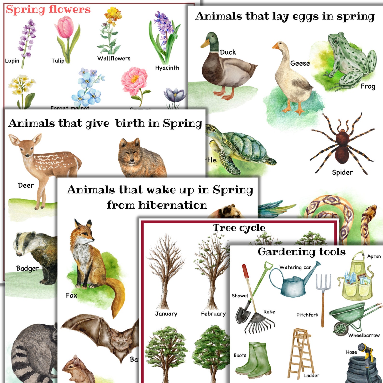 Spring Unit Study, Nature Study, Daffodil Unit Study, Squirrel Unit ...