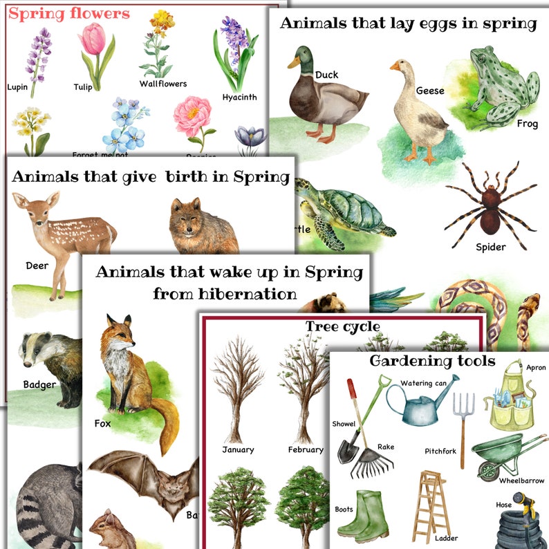 Spring Unit Study Nature Study Daffodil Unit Study Squirrel - Etsy