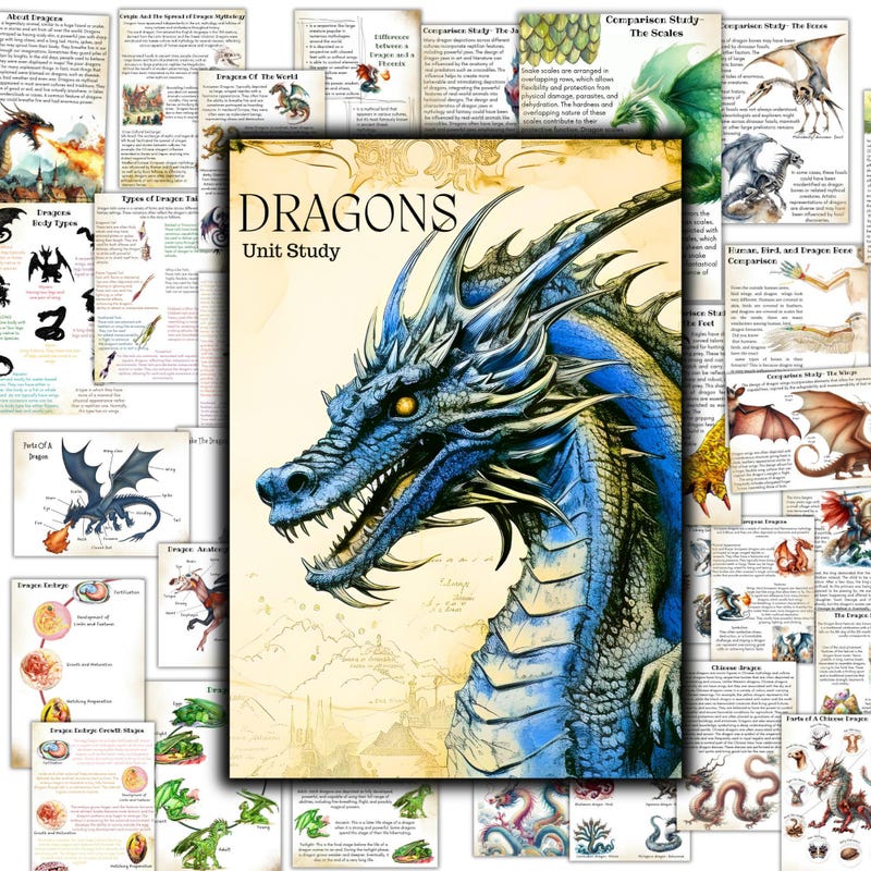 Dragon Study Unit - Etsy