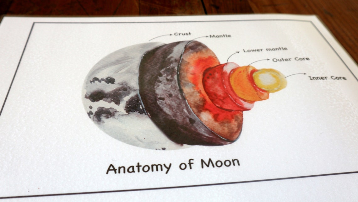 Moon Phases Printable Moon Anatomy Moon Unit Study 3 Parts - Etsy UK