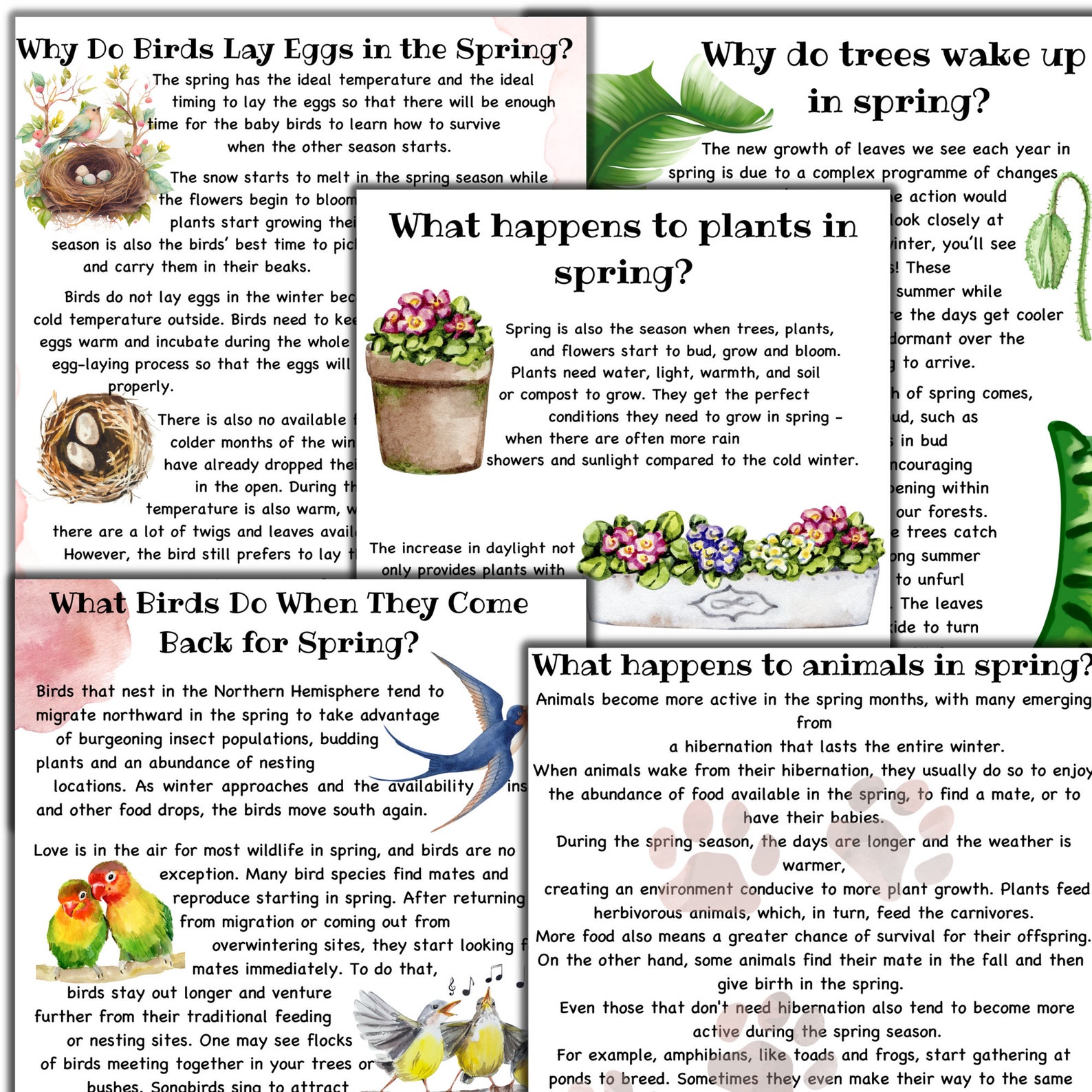 Spring Unit Study, Nature Study, Daffodil Unit Study, Squirrel Unit ...